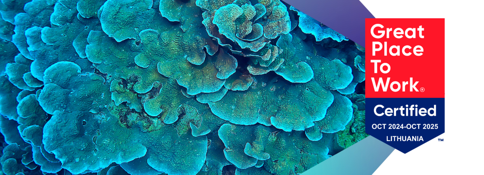 Full Stack Java and JavaScript Engineer, Cognizant Lietuva | CV-Online